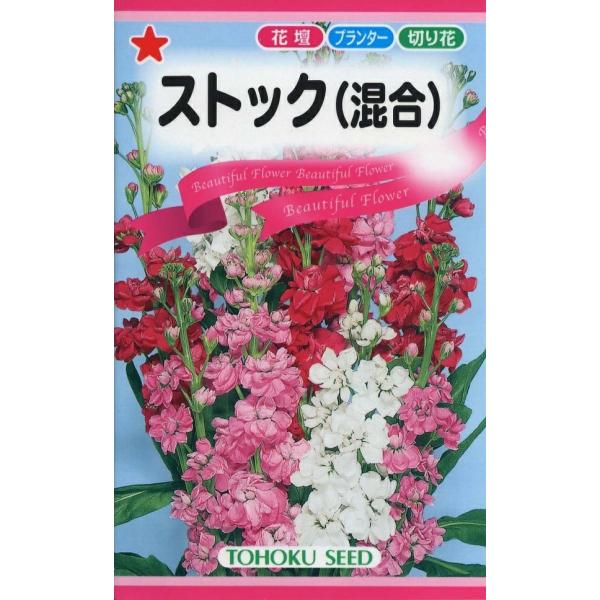 春を告げる代表的な花のひとつで、上品な香りがあります品種名：モーニングスワイ、チャーミング他3種