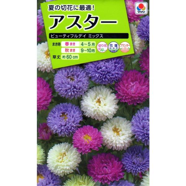 花びらの重ねの多い中輪タイプの品種で、花の大きさは約5cm、草丈は約60cmです。仏花として、またアレンジ切花としても使えます。