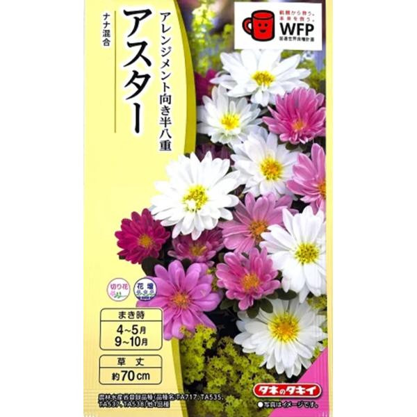 人気の半八重咲きシリーズで、アレンジメントに適する花径4cm前後。茎がかたく草丈はよく伸びてボリュームがあり切り花に最適。立枯病（フザリウム）にも強い。■ナナ ピンク■ナナ パープル〈農水省登録品種（品種名：TA717）■ナナ ホワイト〈農...