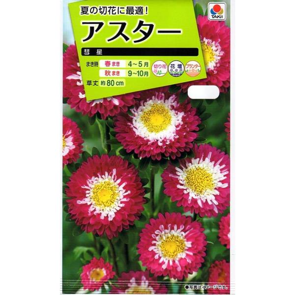 花色は、赤に中心が白の蛇の目になります。花径は6〜7cmの大輪、やや遅咲きの品種です。草丈は約80cm。作りやすく花もちの良い、切花に最適の品種です。