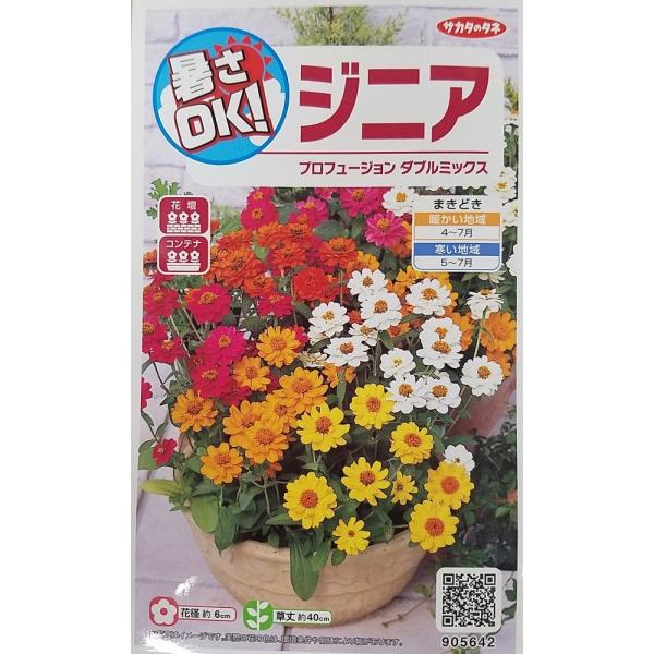 サカタのタネ育成の品種。生育旺盛で暑さや病気に強く、多花性なプロフュージョンシリーズ。花径約6cmの半八重咲きタイプで鮮やかな色の混合の花が夏から秋まで咲き続けます。