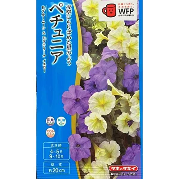 這うように広がるペチュニア2品種の混合です。一株で60〜90cm程に広がります。大鉢やプランター、花壇の他、ハンギングバスケットもおすすめです。※コート種子を使用しています(コート種子は壊れやすいので注意してください)。