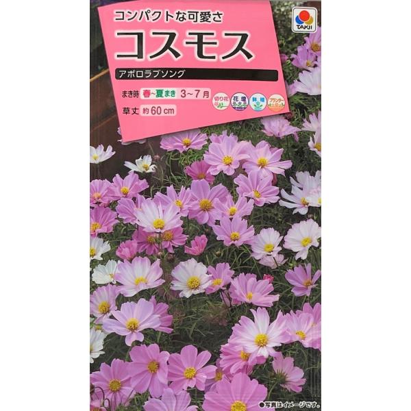 タネから簡単に育てられる可愛いコスモスです。草丈は60cm前後でよく揃います。白、ピンクの濃淡が花壇を彩ります。
