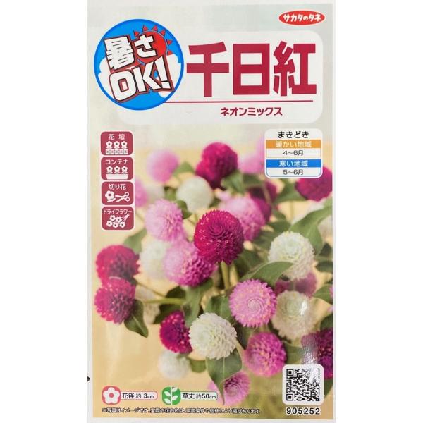 ネオンのように輝くピンク系の花と白花の混合です。切り花にも向く茎のかたさが自慢の品種です。真夏の暑い時期でも元気に咲き続け、株元がしっかりして倒れにくく、ドライフラワーにも利用できます。
