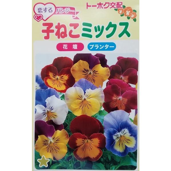 花径6〜7cmで、おしゃまな子ねこを模したシックなバイカラーミックス。