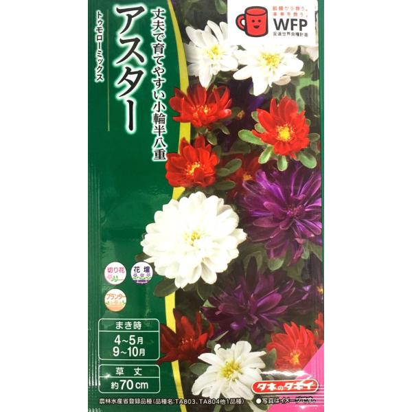 萎凋病による立ち枯れに強く、栽培しやすい品種です。3cm前後のかわいい花がたくさん咲きます。フラワーアレンジメントの花材から仏花まで、色々な使い方ができます。