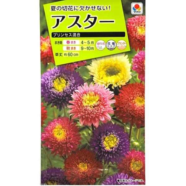 期限切れ（2026年4月）間近のため売り尽くしセール！ 花径7〜8cmの大輪で、赤、桃、青、紫、白などの多色混合。枝は横に広がる、枝ごとに切花がとれる品種。花もちがよく夏の切り花で重宝され、洋風アレンジにも欠かせない人気の花。連作を嫌うので...