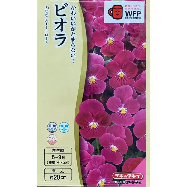 期限切れ（2026年4月）間近のため売り尽くしセール！生育旺盛で花つき抜群。冬咲き性に優れ、咲き出したら止まりません。丈夫で育てやすく、高い人気を誇るシリーズです。シルキーなクリアローズの花色です。