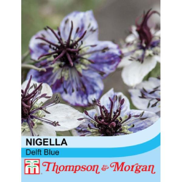 繊細なブルーとホワイトの花が、細かくカットされたエアリーな葉の上に咲きます。よく知られた陶器を思わせる色合いの花を咲かせるニゲラ・パピローサ『デルフト・ブルー』は、夏のボーダーの隙間を埋めるのに重宝します。ラブ・イン・ア・ミストとして知られ...