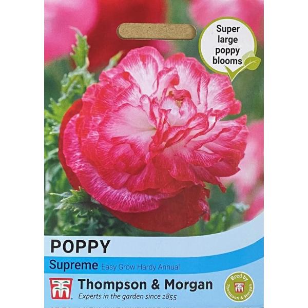 こちらが、夏中花壇で主役を演じるポピーです！これは、Thompson &amp; Morganの自社育種によるもう一つの素晴らしい品種です。ポピー『Supreme』は、他の類似品種（Papaver rhoeas）の3倍の大きさを誇る見事な完...