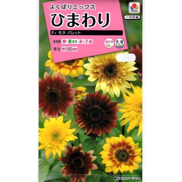 赤や黄など多種多様な花型、花色で、開花期にも早晩があります。草姿も一本立ちから多分枝まで多彩な咲き方が楽しめる混合種です。
