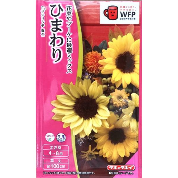花弁がきれいに整って並ぶ美しい花型のひまわりです。完全1本立ち品種で、日長に影響されずに開花するので適温さえ保てば年中種まきできます。無花粉なので切花に最適！切花だけでなく、ひまわり畑を作りたい方にも！