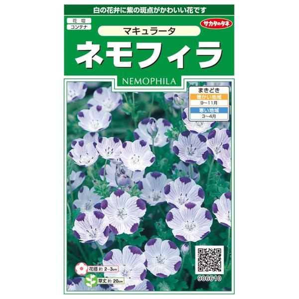 株張り約30cm、横に広がる草姿で、花壇だけでなくコンテナやつり鉢にも向く丈夫で作りやすい品種です。花径は約3cm、白色の花弁の先端に紫色の斑点が入る涼しげな色合いです。