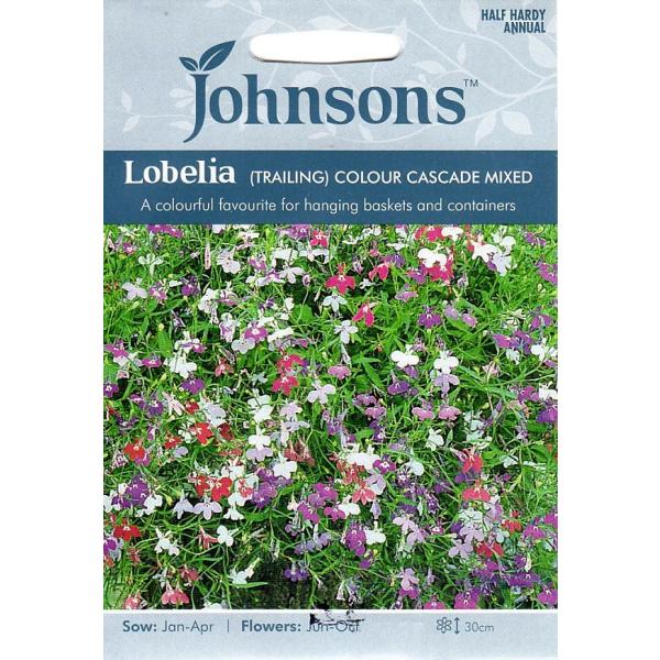 期限切れ（2026年12月）間近のため売り尽くしセール！豊富な花の優れたトレイリングタイプの品種です。吊り下げられたバスケットやパティオのコンテナを長い期間にわたって彩ってくれます。