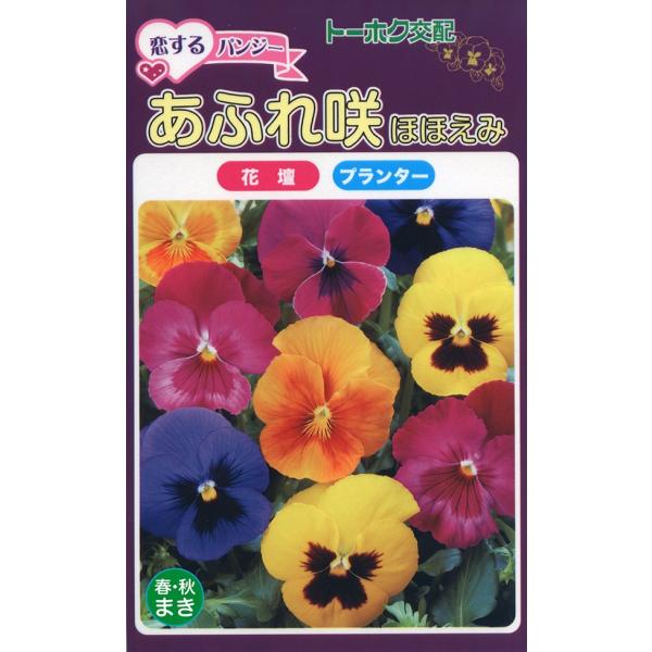 花径4〜5cm。寒さに強く育てやすい品種です。コンパクトな草姿ですが花つきがよく、冬でも休まずあふれるように咲く中輪系の混合です。品種名：ハニーイエロー、ハニーローズ、ハニーブルー他2種