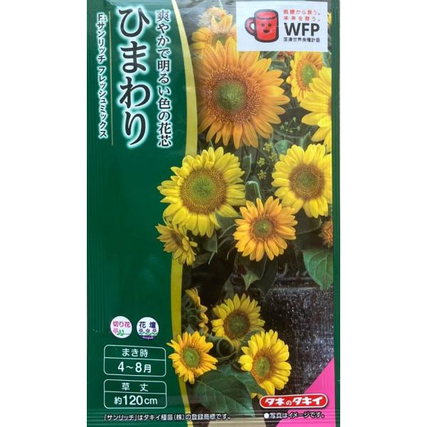 大好評の切花用ひまわりサンリッチの緑芯タイプ(フレッシュオレンジ、フレッシュレモン)の2種混合です。整った美しい花形で、花粉が出ない完全1本立ちのタイプです。適温さえ保てば春〜初秋までまけます。