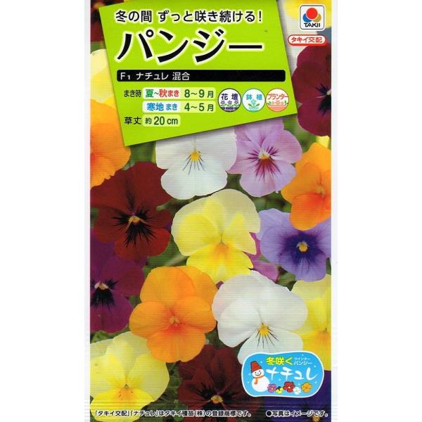 花径3〜4cmの小輪品種で、秋から初夏まで長期間、沢山の花を楽しめます。パンジーの豊富な花色とビオラの長期開花をあわせもつガーデニング好適種です。