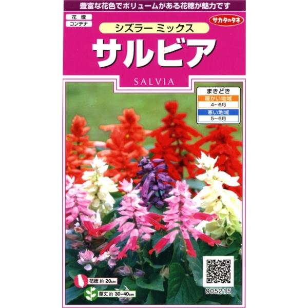 草丈や開花期の差が少ない品種です。豊富な花色でボリュームある早咲きの花はやや上向きで密につき、花壇やコンテナに適します。