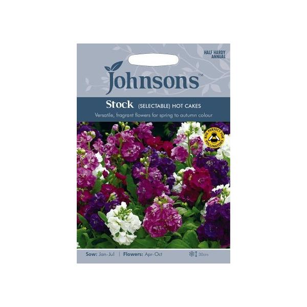 期限切れ（2026年12月）間近のため売り尽くしセール！鉢植え、寄せ植えにお勧めのストックです。もちろん花壇でも！はっきりとした色合いで大変美しい品種です。