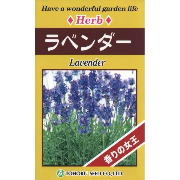 ラベンダーはシソ科の背丈の低い常緑樹で、ハーブティー、アロマセラピー、観賞用にと大活躍のハーブです。“香りの女王”と称されるほど良い香りがします。２年目から花をつけます。観賞用にもどうぞ！