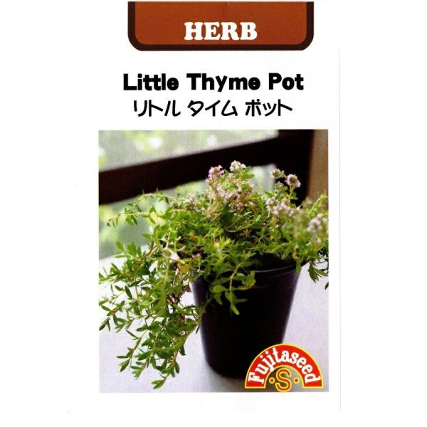 期限切れ（2026年5月）間近セールほふく性タイプのタイムです。ポット栽培に適し、寄せ植えにもおすすめです。密集した株は蒸れやすいので注意して下さい。ポプリにするなど香り高い葉をお楽しみください。※グランドカバーとしてのご利用には不向きです...