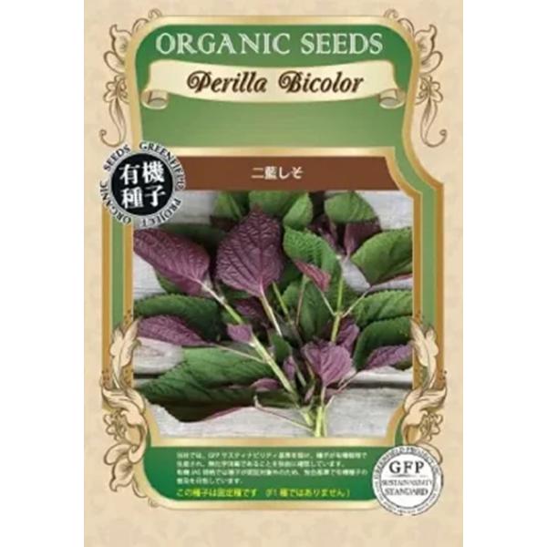 草勢つよく、葉の表面が緑色で裏面が赤色の珍しいしそです。プランターでも栽培できますし、ベビーリーフにもお薦めです。しその風味付けとしておいしくいただけます。緑と葉の2色が楽しい和食飾りとしても人気です。この種子は固定種です（F1種ではありません）
