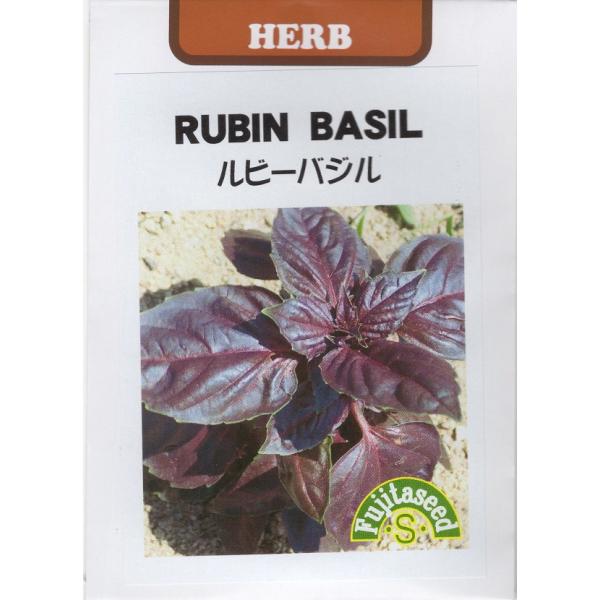 深紫色の葉をオリーブオイルやビネガーに入れると綺麗な色付けが出来る、イタリア料理に欠かせないバジルです。ルビンバジルとも呼ばれます。観賞用として花壇にも利用できます。