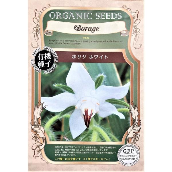 白色の花とキュウリのような香りの葉が特徴の、背丈30〜80cm程の大株に育つ一年草のハーブです。房なりの白い花は綺麗な星形でガーデンで観賞用としても楽しめ、大変育てやすいハーブです。この種子は固定種です（F1種ではありません）