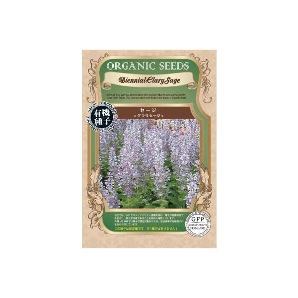 ライトブルーのお花とスミレ色の苞葉が綺麗な、さわやかで独特な香り豊かなハーブで、背丈は1m以上まで伸びる大型のセージです。精油ができ、エッセンシャルオイルとして人気ハーブで、メンタル面でリラックス効果などによいと言われています。精油にする場...