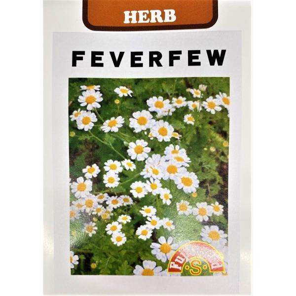 ヨーロッパ原産のキク科の多年草で、キク科の多年草で、和名を「ナツシロギク」といいます。羽状に深列した葉からは強い芳香を放ちます。花はデージーに似て可愛らしく、花壇にもお勧めです。