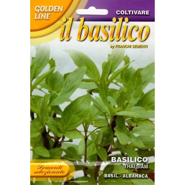 タイのバジルで、早生種、古い品種です。生育旺盛、育て易い品種です。葉は大変香り高く、濃いグリーンで、紫の花を付けます。主にタイ料理向きのバジルです。コンテナ栽培も可能です。