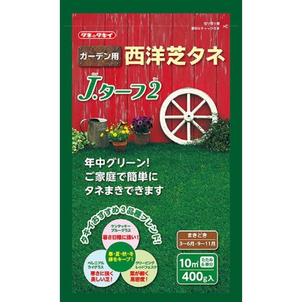 ご家庭で簡単に作れるのが特徴です。年中丈夫で緑色の美しいタキイオリジナル芝タネが配合されています。家庭園芸用芝種子（3草種混合）・ケンタッキーブルーグラス「ムーンライトSLT」・クリーピングレッドフェスク「ナビゲーター２」・ペレニアルライグ...