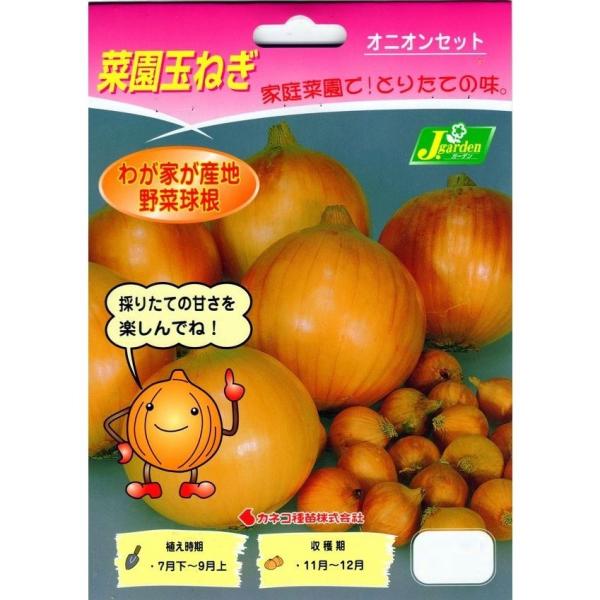 玉ねぎは最もポピュラーな野菜のひとつです。栽培は簡単ですから家庭菜園向きの野菜です。ビタミンB1の吸収がよく新陳代謝を活発にし、ビタミンC、ミネラルを含みますから、特に冬の食卓に欠かせない野菜です。
