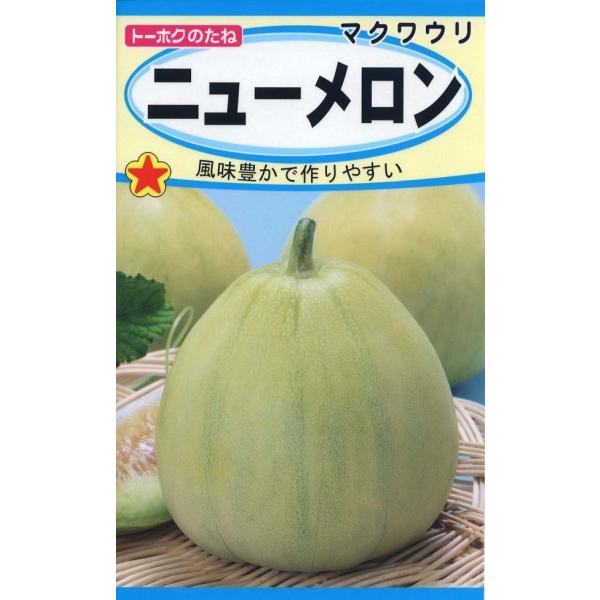 ウリ科 キュウリ属日本の気候にあったとても作りやすい品種です。初心者でも簡単に作れます。果重は300g〜400gでよく実ります。果肉は薄緑〜薄緑黄色で甘みが強く食べやすい品種です。