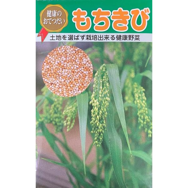 やせ地にも適し栽培しやすい。吸肥力が強いので肥沃地でも栽培でき多収である。粒はやや黄みがかった白色である。