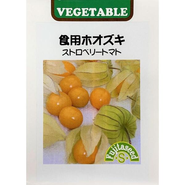 期限切れ（2026年11月）間近セール!がくが袋状に大きくなり、その中に果実を包み込みます。盛夏を過ぎる頃から、がくが褐色化しその中の果実が黄橙色に熟れると食べ頃です。果実は直径約2cm。味覚は甘酸っぱくフルーティーです。果実は生食のはもち...