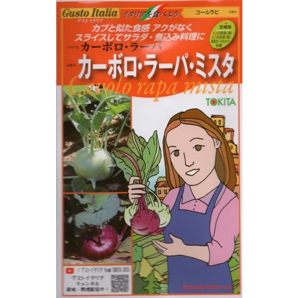 皮の色が緑色と紫色、内部の色はどちらも白色の品種が個包装されています。太った茎から葉が立ち上がる草姿は、色別に栽培してポタジェなどでも活かせます。キャベツなどより暑さ寒さに強く、家庭菜園初心者の方でも育てやすい品種です。