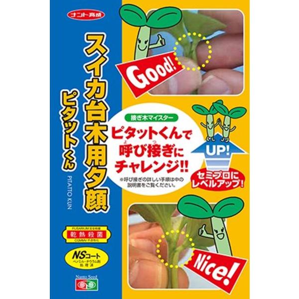 胚軸が太く、接木作業が容易な夕顔台木。親和性に優れ接ぎ木の活着も良い。草勢が強く、耐暑性・耐寒性に優れ、つる割れ病に強い。