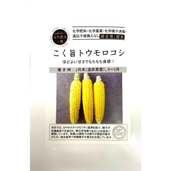 程よい甘さのトウモロコシです。生でも食べられますが、焼いたり蒸したりするともちもち食感が楽しめます。