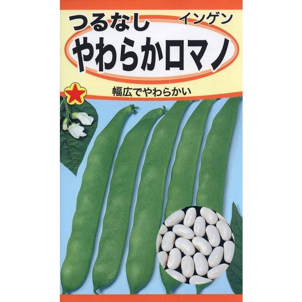 肉厚でスジのない、12〜13cmのやわらかい平さや種。風味豊かで食感も良いおいしい品種です。生育旺盛で作りやすく、多収が見込めて家庭菜園に最適です。品種名：B-1180