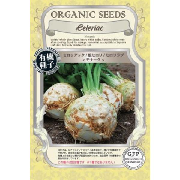 ヨーロッパでは一般的な野菜で肥大した根茎を食べます。セロリに似た風味ですが、香りは優しく食べやすいです。冷涼な気候を好み、大きく肥大すれば直径15cmになりますが、直径5〜10cmで収穫しても美味しい根菜です。スライスして生でサラダとして一...
