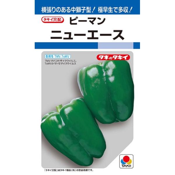 横張りのある中獅子型ピーマン。肉厚でボリュームがあり食味がよい。極早生で肥大が早く、成り休みの少ない多収穫。