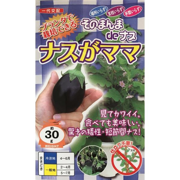 ・鉢植え向きミニナス。草丈80cm(尺鉢栽培)となるため必要の場合、真ん中に支柱を立てる。基本的には支柱は不要です。・芯止まりタイプの為脇芽を基本取らない放任栽培で良いです。・ヘタは鮮やかな緑色で果皮色黒紫色。・果実の長さは3〜8cm、果重...