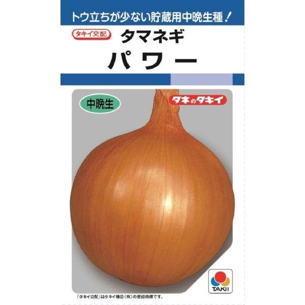 トウ立ち・分球の発生が少なく作りやすい。そろいがよく、色つやのよい球形の中玉種。2月までの吊り貯蔵に適する中晩生種。