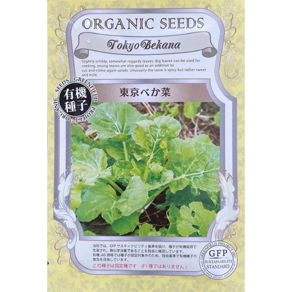 山東菜の小型品種で、白菜の結球しない系統の非結球の菜っ葉です。クセがないので生でサラダ菜として、炒め物やお浸しにしてもおいしくいただけます。固定種です　(F1ではありません)