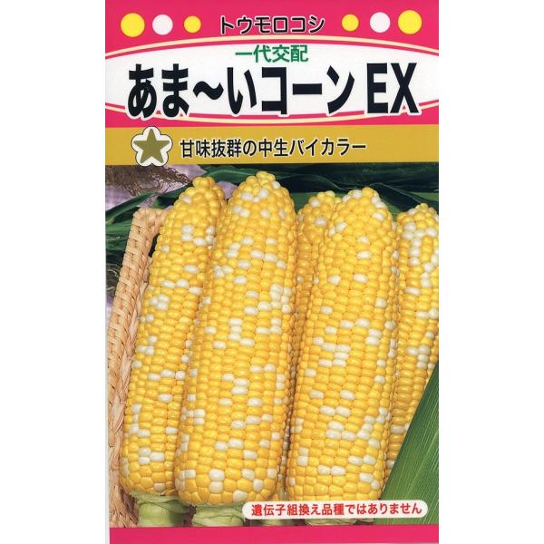 黄粒と白粒がカラフルに混ざるバイカラー種の中では特に甘味が強い品種です。倒伏に耐え、種まきから約87日で400g以上の大きな実がとれる収量性の高い品種です。品種名：XET-121870