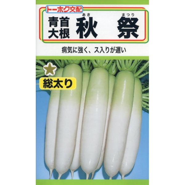 す入りが遅く、安心して栽培できる青首総太り大根です。ダイコン本来の味が楽しめます！病気に強く、寒さに強いので長く畑に置けます。家庭菜園にもどうぞ！