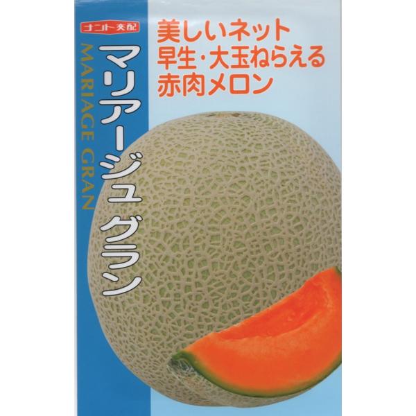 果肉はサーモンピンクで低温期でも発色が良い。肉質はメルティング質でカロチン臭はなく糖度は16度内外で安定する。ネットは高く盛り上がり玉肥大よく、立体栽培にも向く。