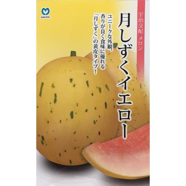 黄色の果皮に緑色の斑点があるユニークな外観のノーネットメロンです。収穫期になると、果皮が白から黄色に変わるため、収穫適期が分かりやすい品種です。果形は豊円〜やや腰高で1.6〜1.8kgになります。果肉は白地に橙色のグラデーションとなります。...