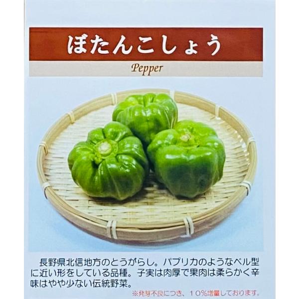 長野県北信地方のとうがらし。パプリカのようなベル型に近い形をしている。子実は肉厚で果肉は柔らかく辛味はやや少ない品種。